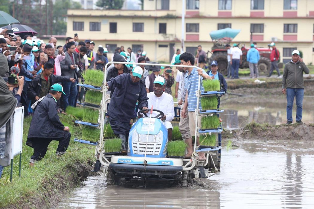 मन्त्रीले रोपे मेसिनबाट धान, किसानले रोपे हातले धान (फोटोहरु) « Nepal Page