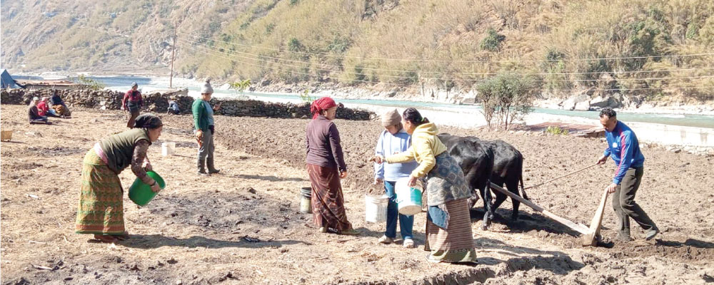 Women of Manang practice collective farming in effort to become ...