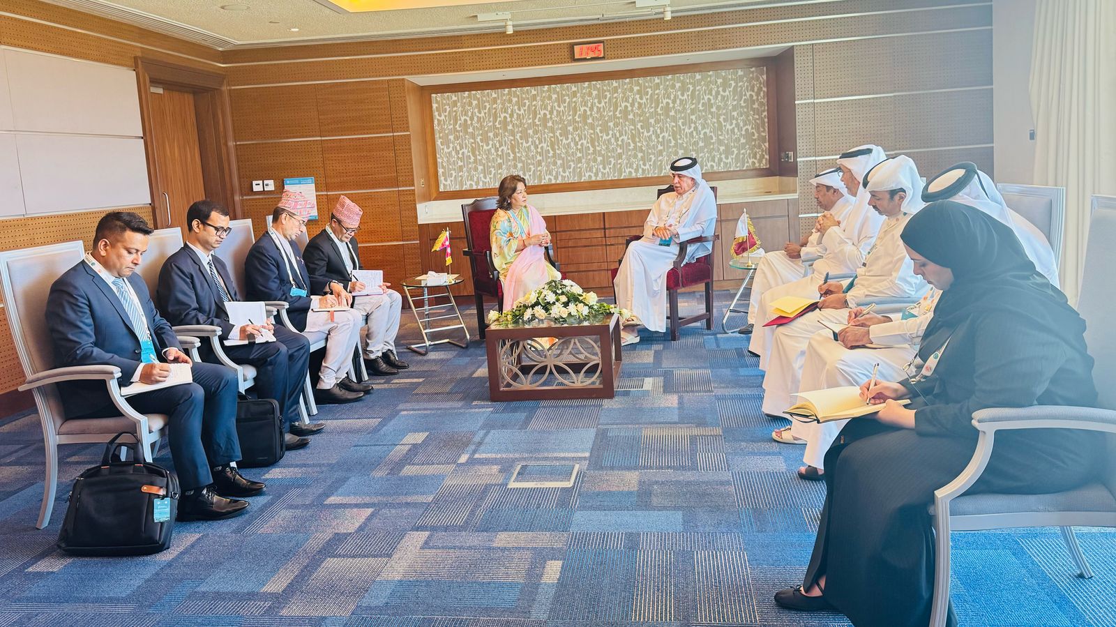 Minister Dr Rana meets Qatari state minister, requests assistance for ...